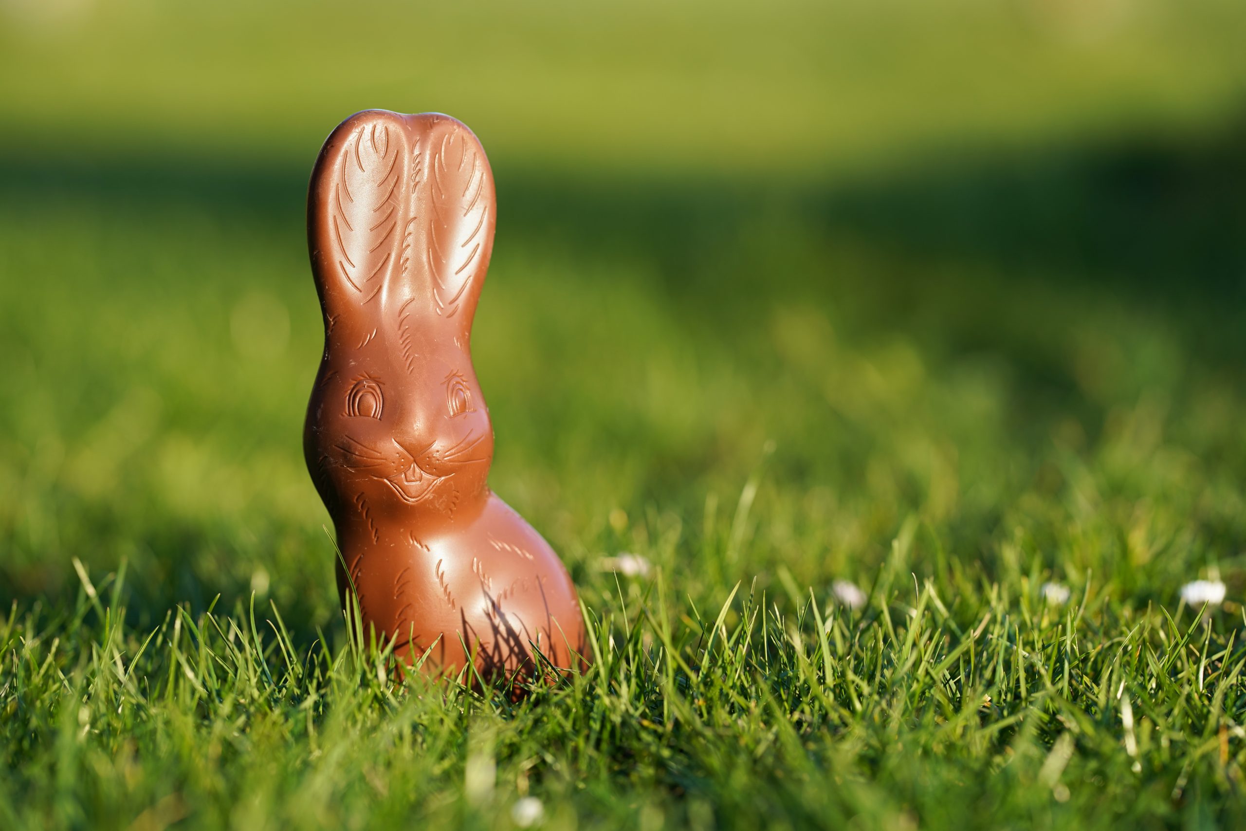 Sweet and Sensible: Why Quality Chocolate in Moderation Is a ...